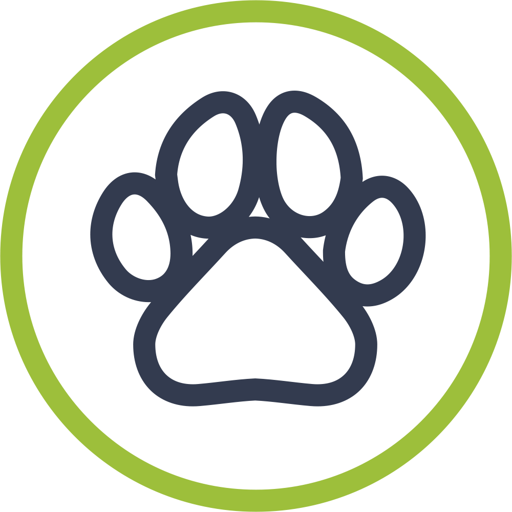 How We Help – Urban Pooch's Foundation